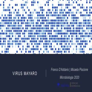 Clase Virus Mayaro | PPTX