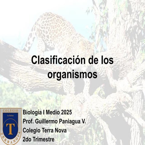 El sistema de clasificación los 3 dominios de | PPTX