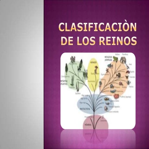 Clasificaciòn de los reinos | PPTX