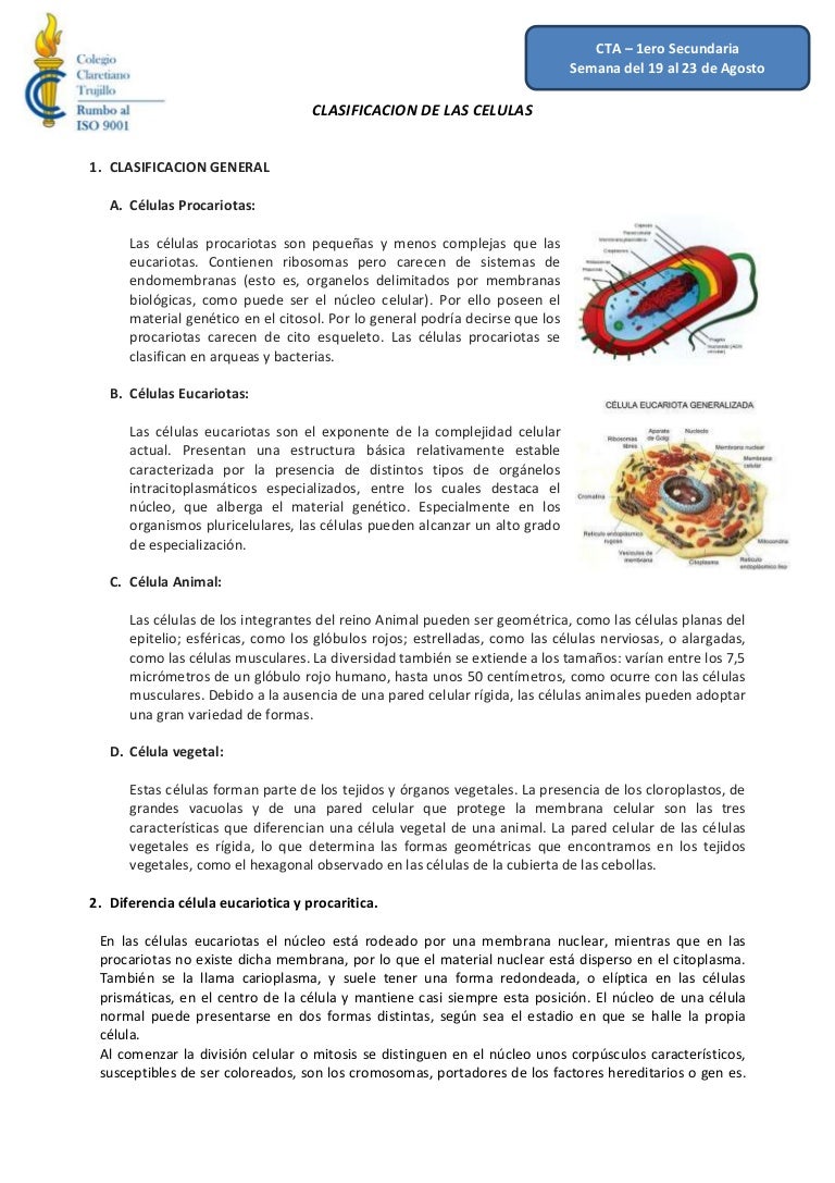 Clasificacin De Las Clulas Para Quinto Grado De Primaria