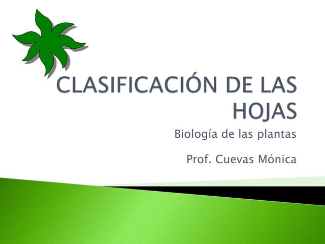 Clasificacion De Las Hojas Pptx