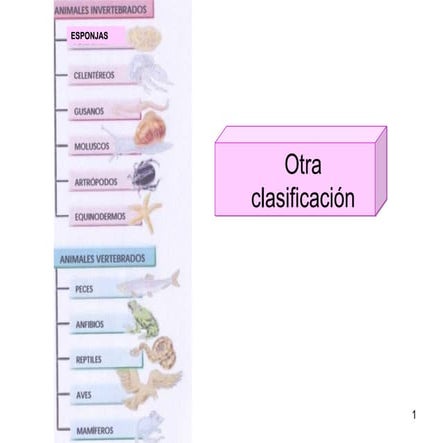 Los animales (2º E. Primaria) | PPT