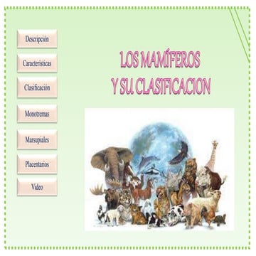 LOS MAMIFEROS ACTUALES Y SU CLASIFICACION | PPTX