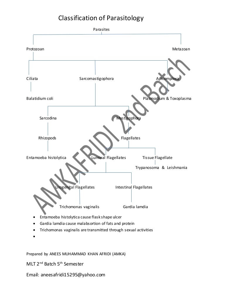 Classification of parasite