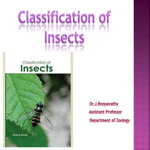 Classification of insects | PPTX