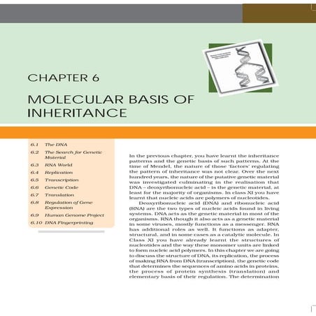 NCERT Books Class 12 Biology Chapter 6 Molecular basis of Inheritance | PDF