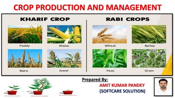 Chapter - 1, Crop Production and Management, Science, Class 8 | PPT