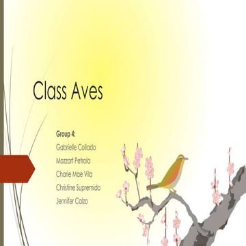 Class aves List | PPTX
