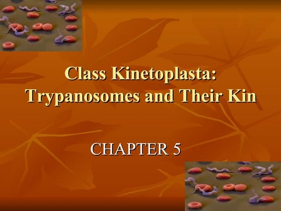 Trypanosoma cruzi & brucei - Comparative, quick & easy study.pptx