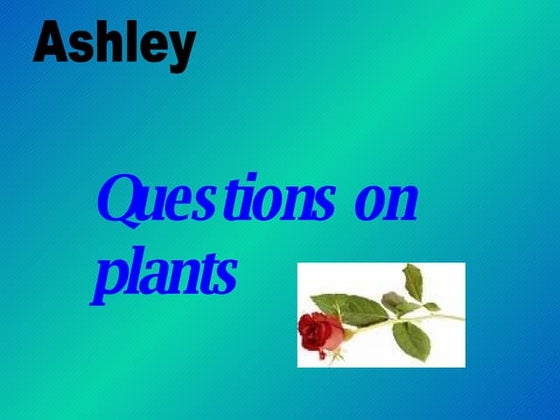 Second Grade Science: Plants | PPT