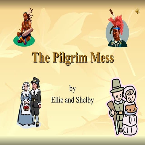 Class Power Point Pilgrim Mess And Solutions | PPT