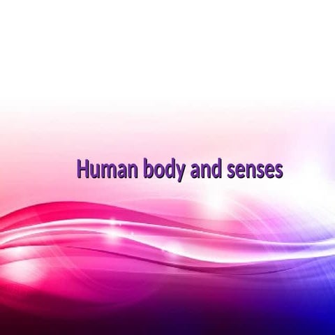 Class 03 - Human body and senses (OA 05).ppt
