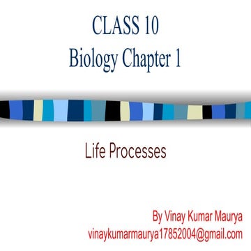 Class 10 biology_chapter_1_life processes | PDF