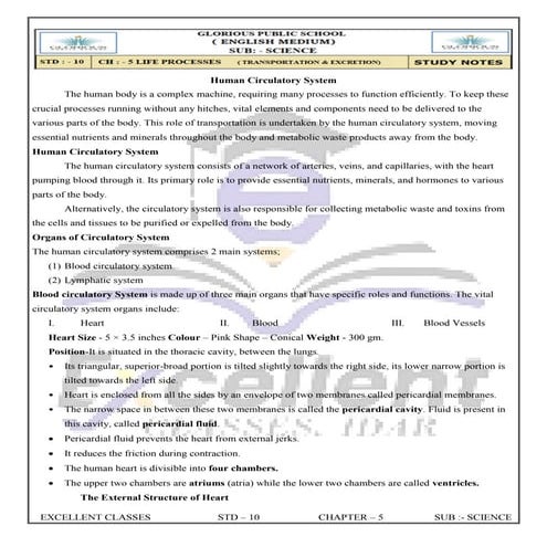 CLASS 10 CH 5 Human Circulatory & Excretory System NOTES EX.pdf
