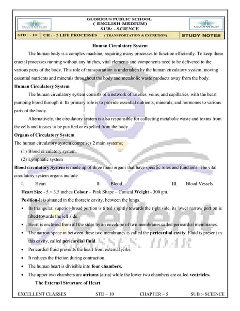 Class 11 project biology prect topic body fluid and circulation | PPTX