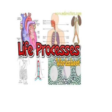 Class 10 Digestive system | PPTX