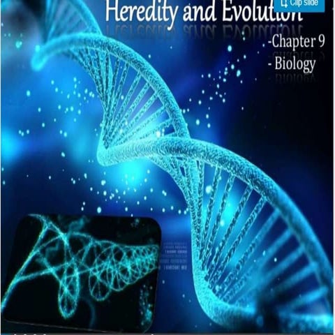 Class10 hereditary and evolution 13 slides | PPTX