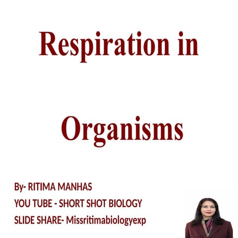 Interactive KG-2 Math Lesson on Addition Concepts and Problem Solving ...