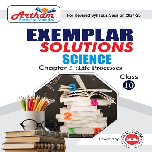 Class X Science Notes Chapter 5 Life Processes | PDF