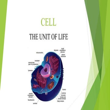 Cell- the unit of life (Introduction) | PPT