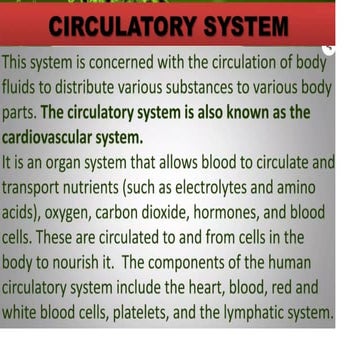 class 11 biobody fluids and circulation.pptx