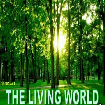 CLASS 11 BIOLOGY CHAPTER 1 LIVING WORLD PPT ....pptx