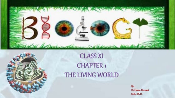 CLASSIFICATION OF ORGANISMS | PPT