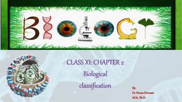 FIVE KINGDOM CLASSIFICATION-RH Whittaker | PPTX | Biological Sciences ...