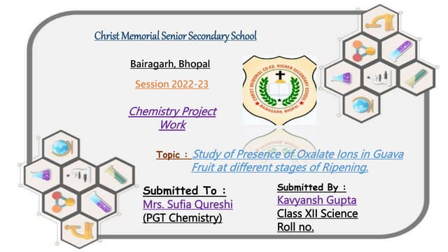 chemistry-project.pdf project files class 11 | PDF