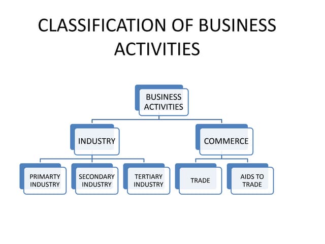 Classification of the business