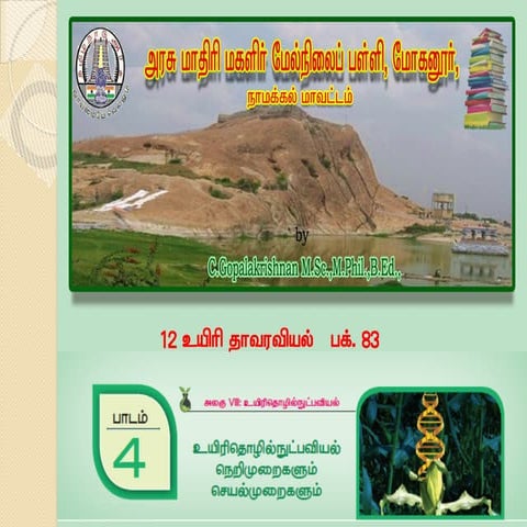 CLASS 12 BIO BOTANY TM CHAPTER 4 உயிரி தொழில் நுட்பவியல் நெறிமுறைகளும் ...