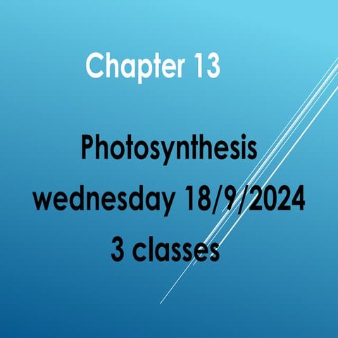class 1 2 chloroplast structure and function and light dependent ...