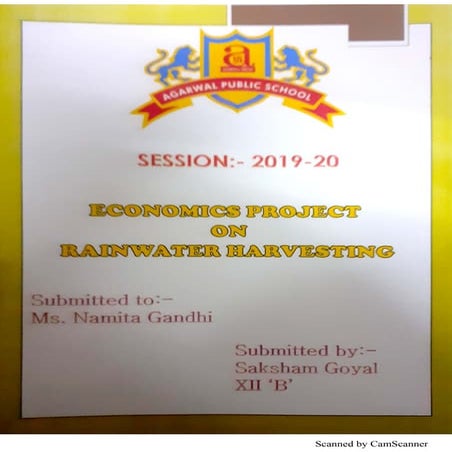 Class12th CBSE economics project | PDF