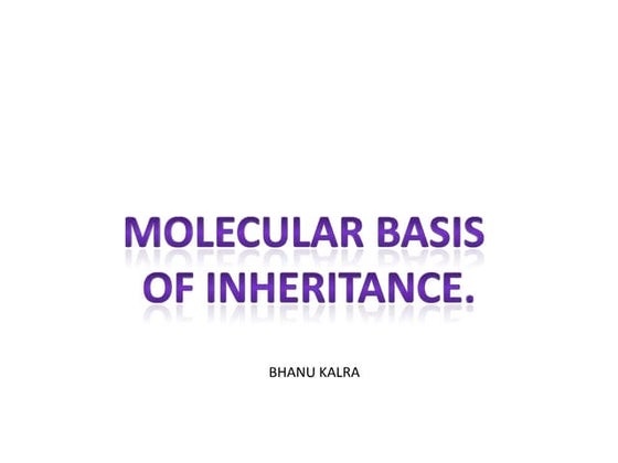 Molecular basis of inheritance | PPTX