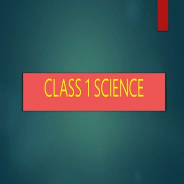 Clothes for Different Weather | PPT