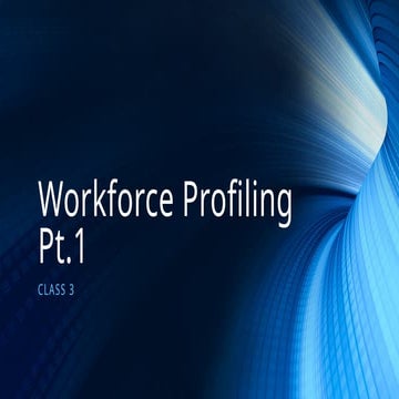 Class 3-Workforce profile updated P.pptx