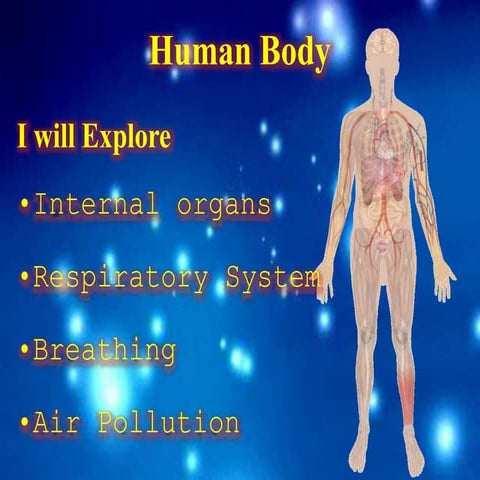 Cbse 4th science my body : Internal organs | PPTX