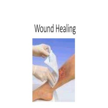 CLASS 3 WOUND HEALING.pptx