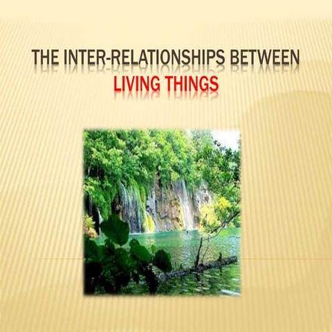 The Inter-relationships between Living Things | PPTX