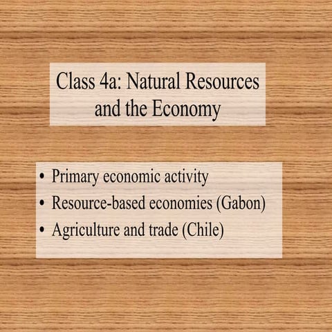 Natural resource economics | PPTX