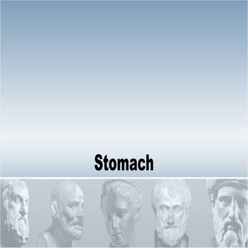 Presentation on the mechanism of HCl production in the stomach | PPTX