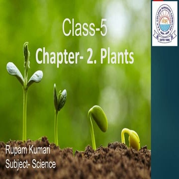 DAV Class 5 Plants | PPTX | Gardening | Home & Garden
