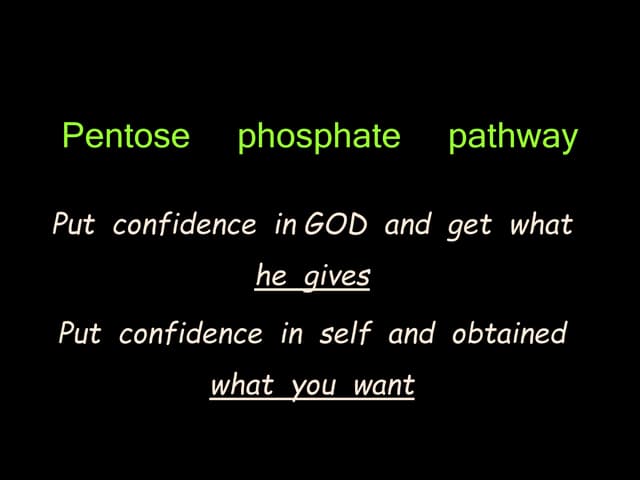 HMP Shunt | Hexose Monophosphate Pathway | Pentose Phosphate Pathway ...