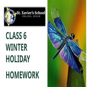 Class 6 Winter Holiday Homework for 10 days | PPTX
