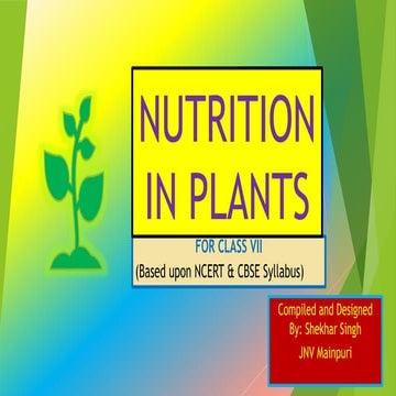 NUTRITION IN PLANTS CLASS 7 | PPTX