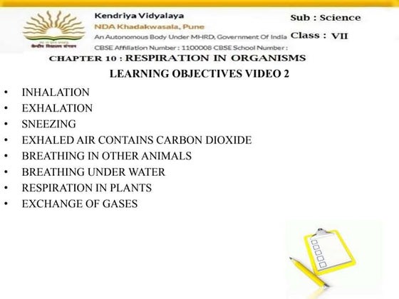 Chapter - 10, Respiration in Organisms, Science, Class 7 | PDF