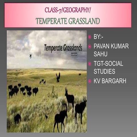Temperate Grassland | PPTX