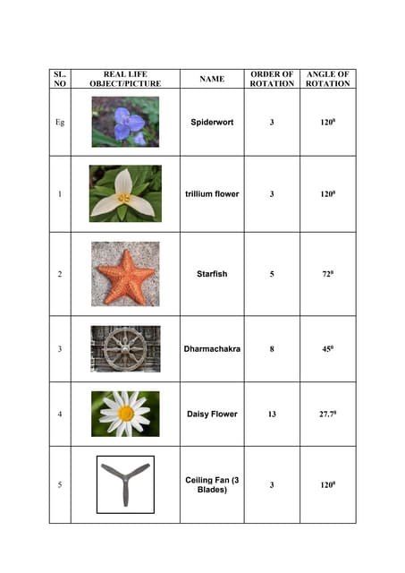 Class_7_Math_Activity_Rotational_Symmetry_Examples.docx
