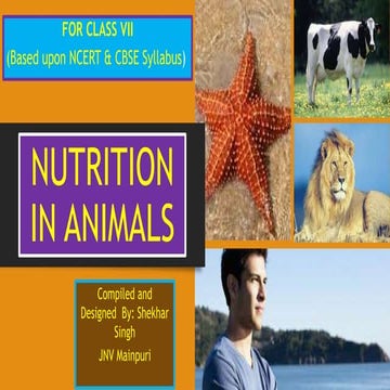 NUTRITION IN ANIMALS | PPTX