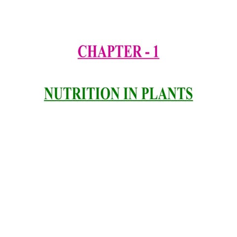 Class 7 nutrition in plants for education.ppt
